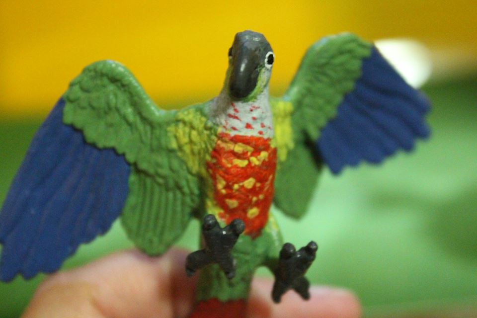 kaylee-headshot – Unbridled Perspective